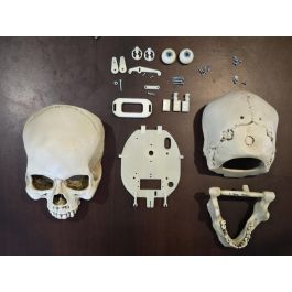 Talking Skull Kit