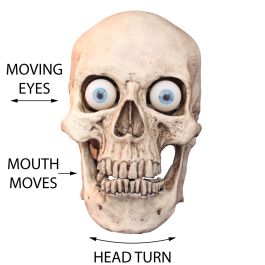 skeleton head turn